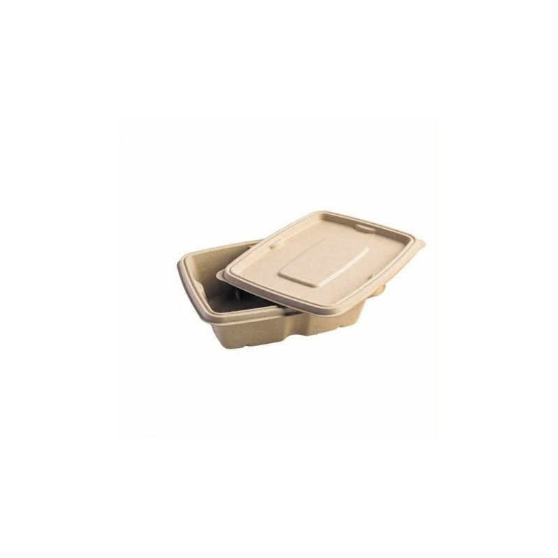 Envase Rectangular Bagazo Anti-Fuga750ml 196X153X56,5mm | EnvasesAlimentarios.es